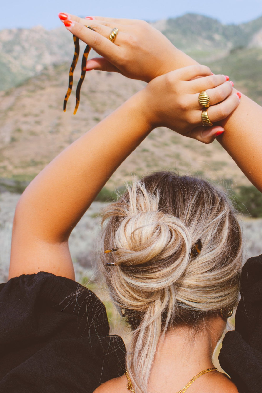 Dark Tortoise Chignon Pin – ANDI