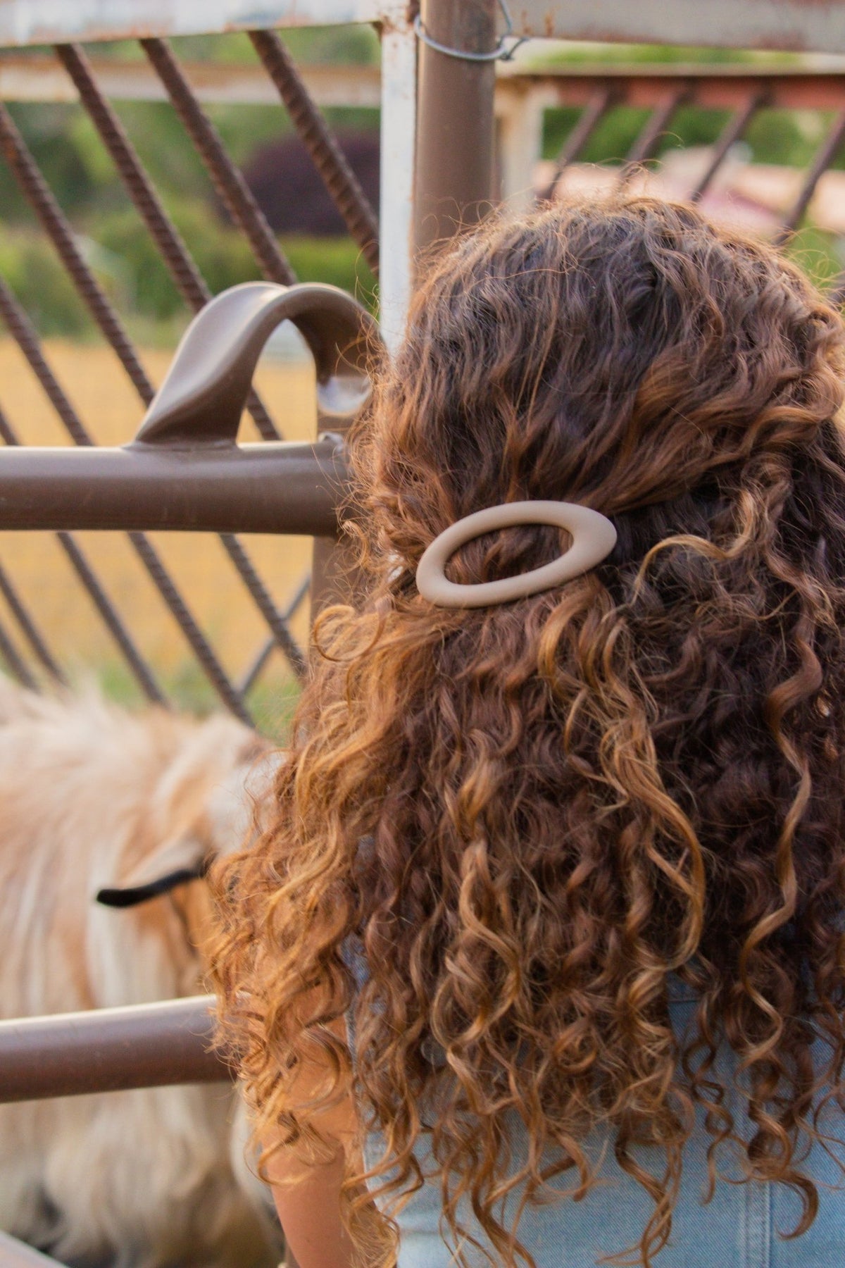 Oval Barrette – ANDI